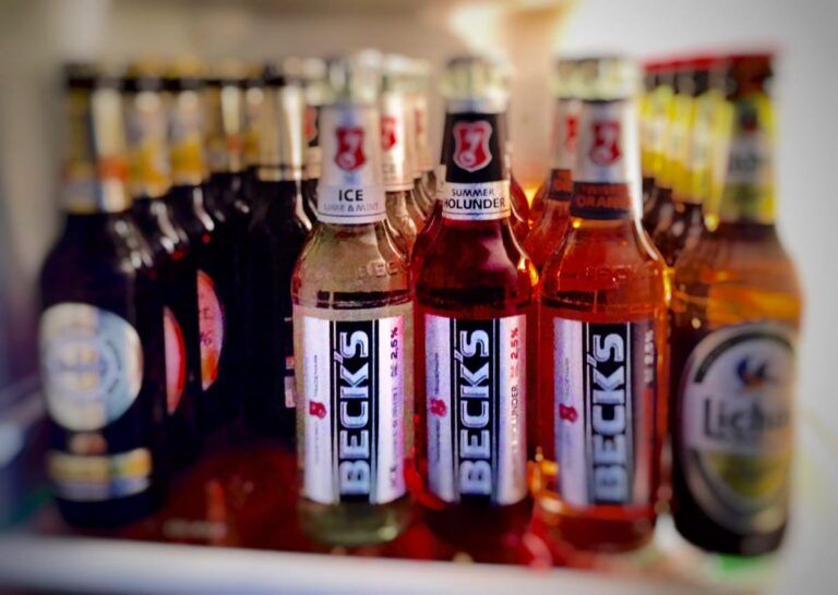 Mini frigo : comment bien choisir son mini frigo en 2025